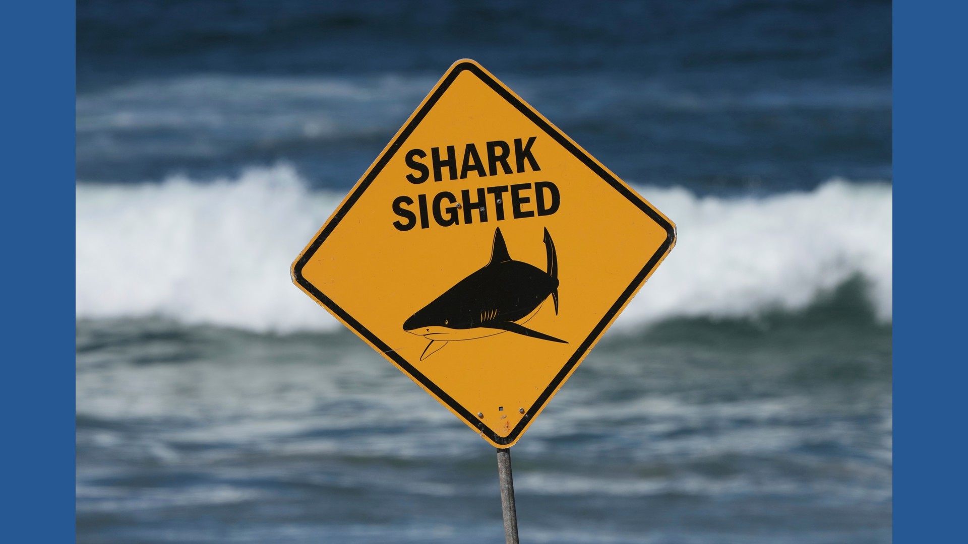 Spearfisher killed in Australia’s third fatal shark attack in 4 weeks ...