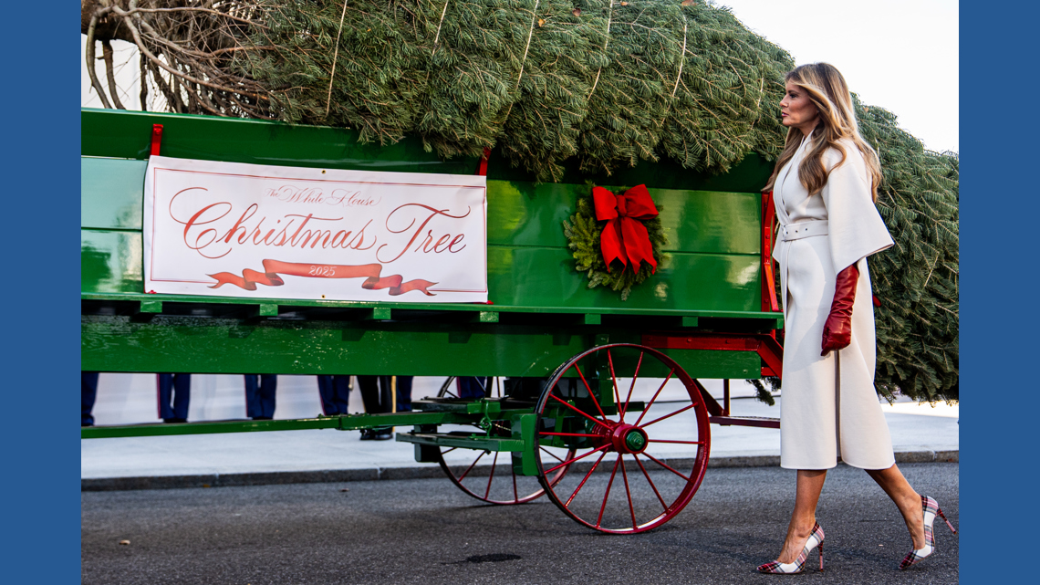 Melania Trump welcomes Christmas tree to the White House | khou.com