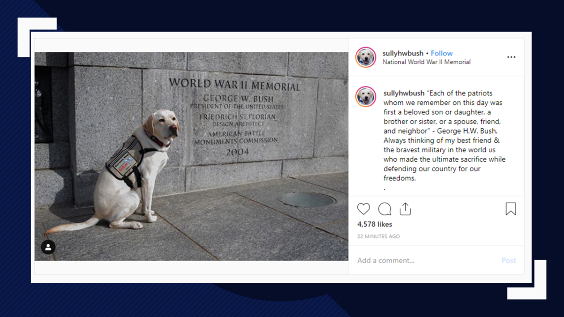 Sully the service dog honors George H.W. Bush on Memorial Day | khou.com