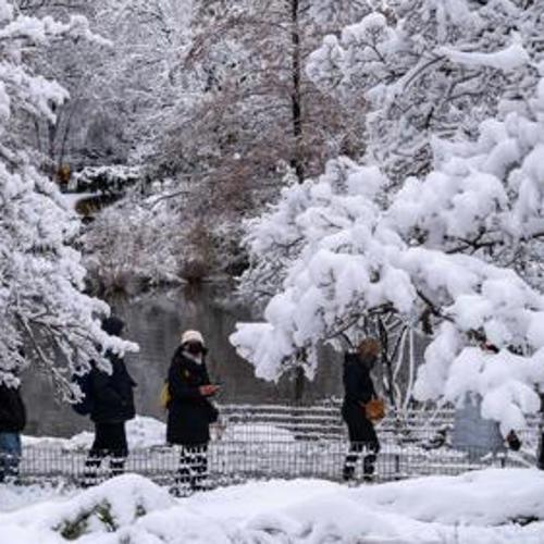 Houston Can Blitz launches to speed up trash can replacements for ...