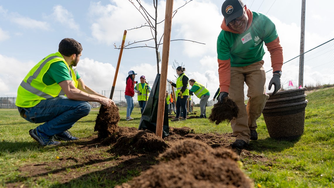 Historic amount of money being spent on urban tree planting | khou.com