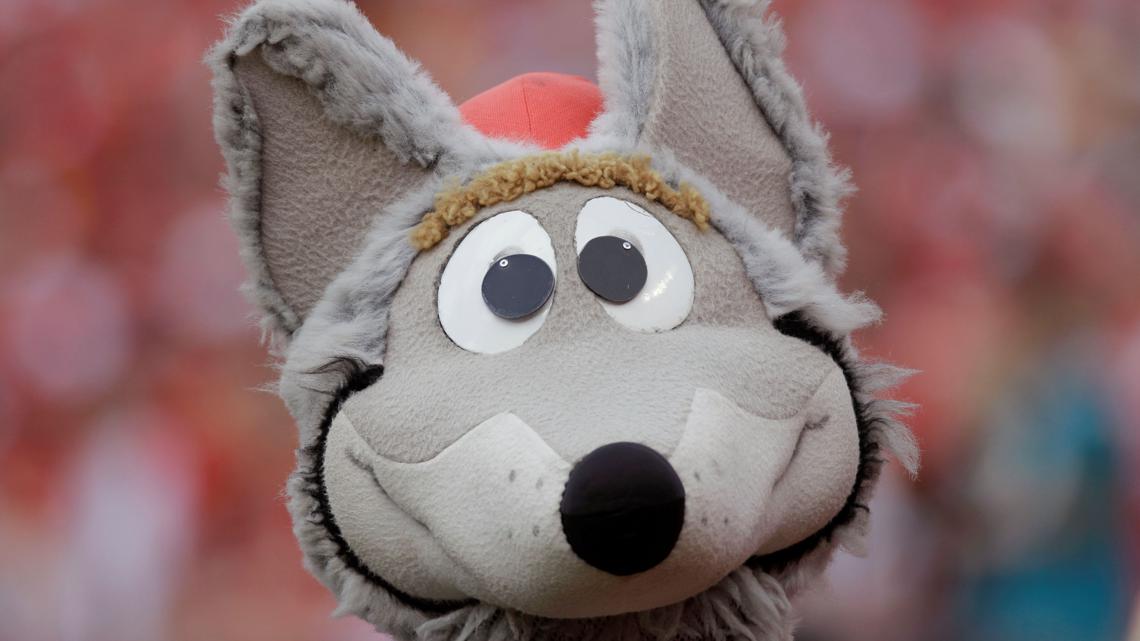 Why is the Kansas City Chiefs mascot a gray wolf? | khou.com