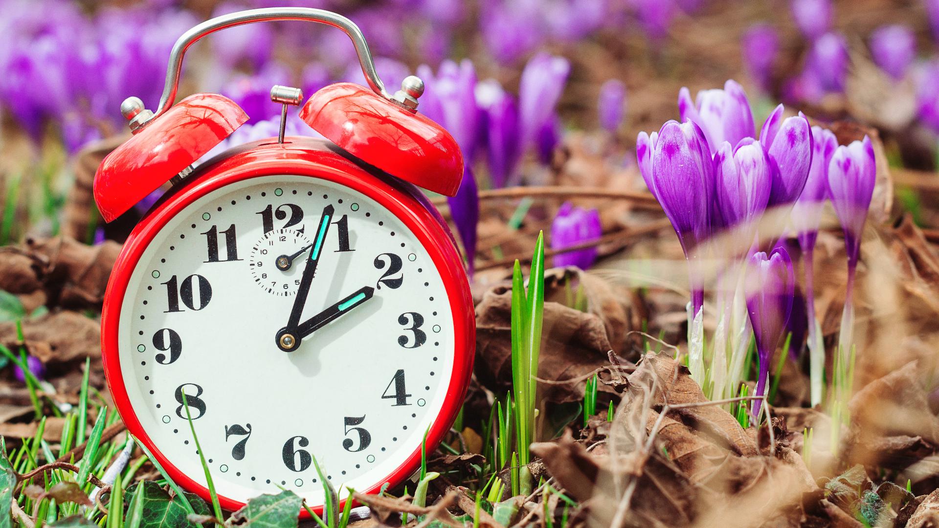 Daylight saving time 2025: When clocks 'spring forward' | khou.com