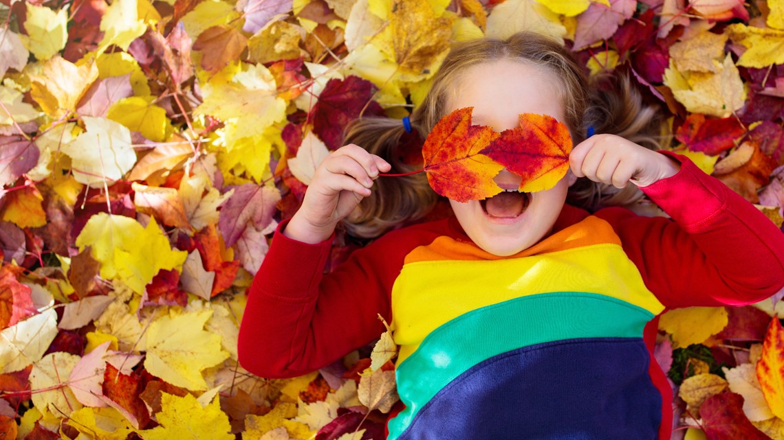 Houston fall | khou.com