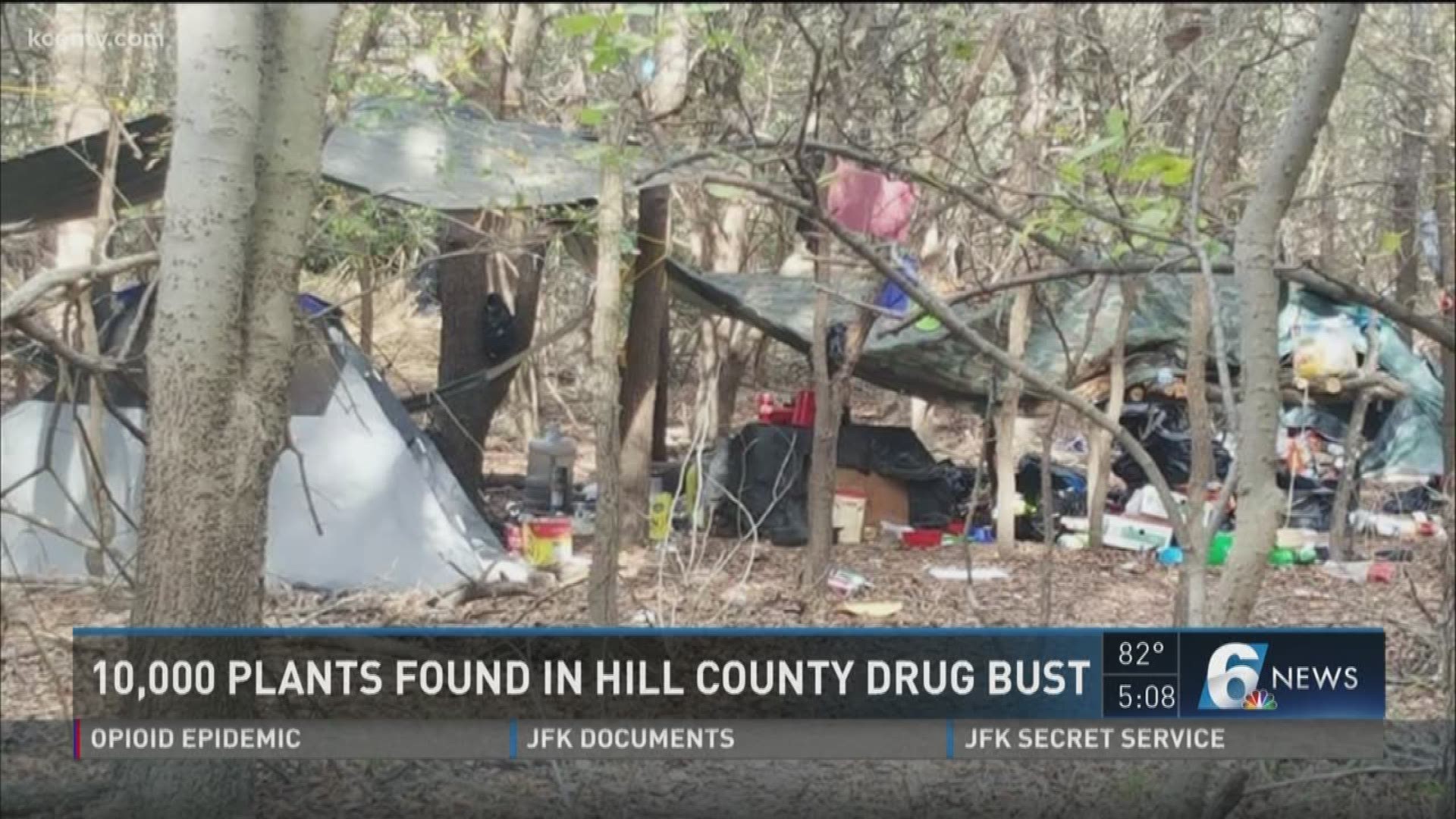 10,000 PLANTS: Look inside the largest marijuana grow bust in Hill ...