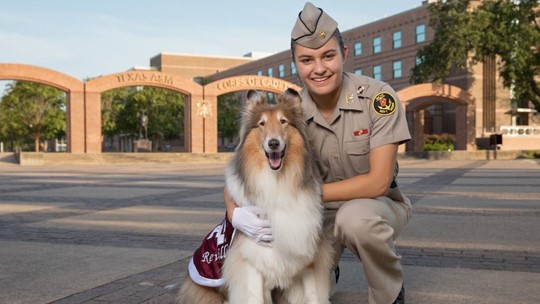 Texas A&M: Mascot Reveille X recovering after eye surgery | khou.com