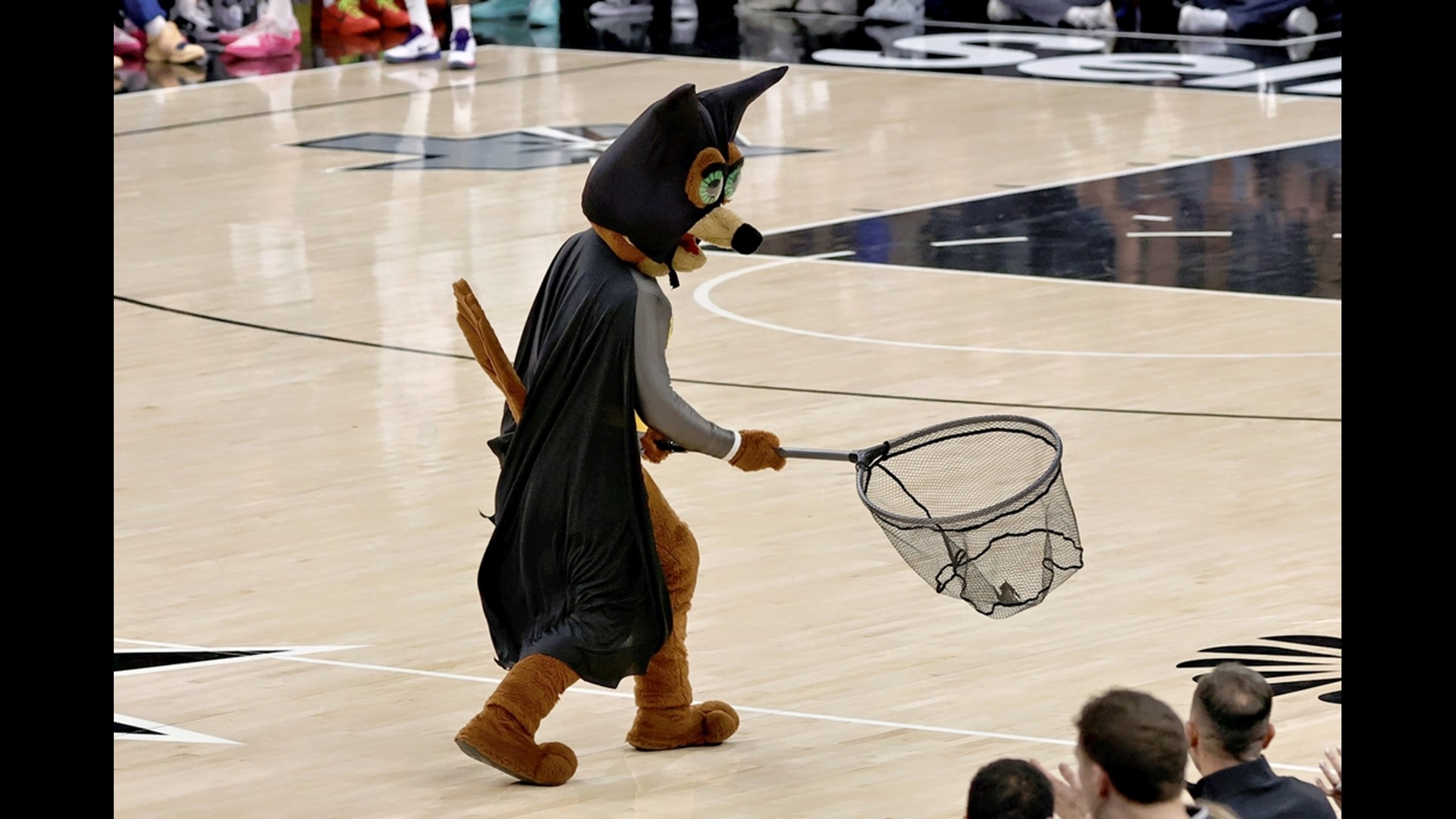 Bat stoppage at Spurs games ends with mascot saving the day | khou.com