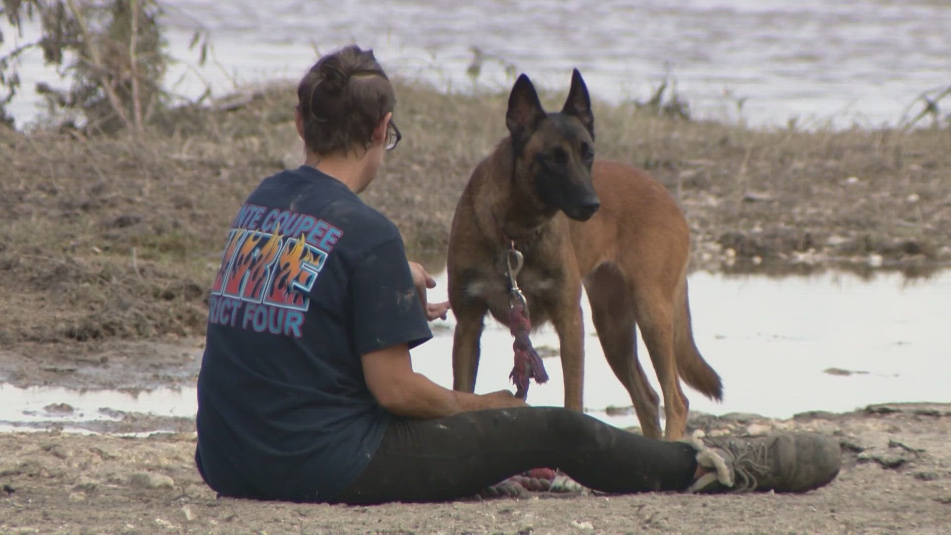 Cadaver dogs boosting flood search efforts in Kerr County | khou.com