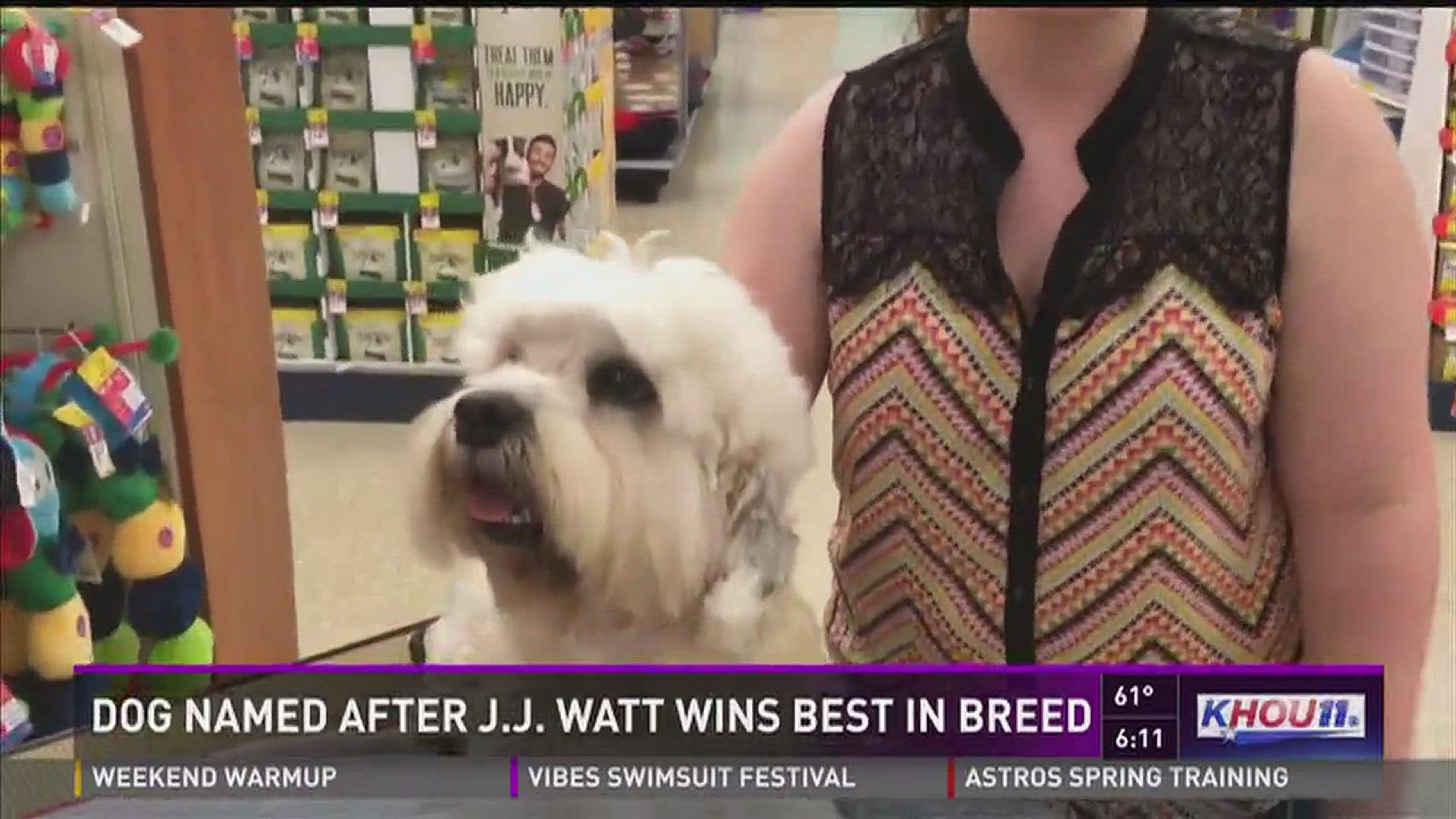 Cypress dog named after J.J. Watt wins at Westminster | khou.com