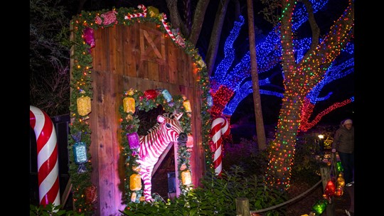 Where to see Christmas lights in Houston area | khou.com