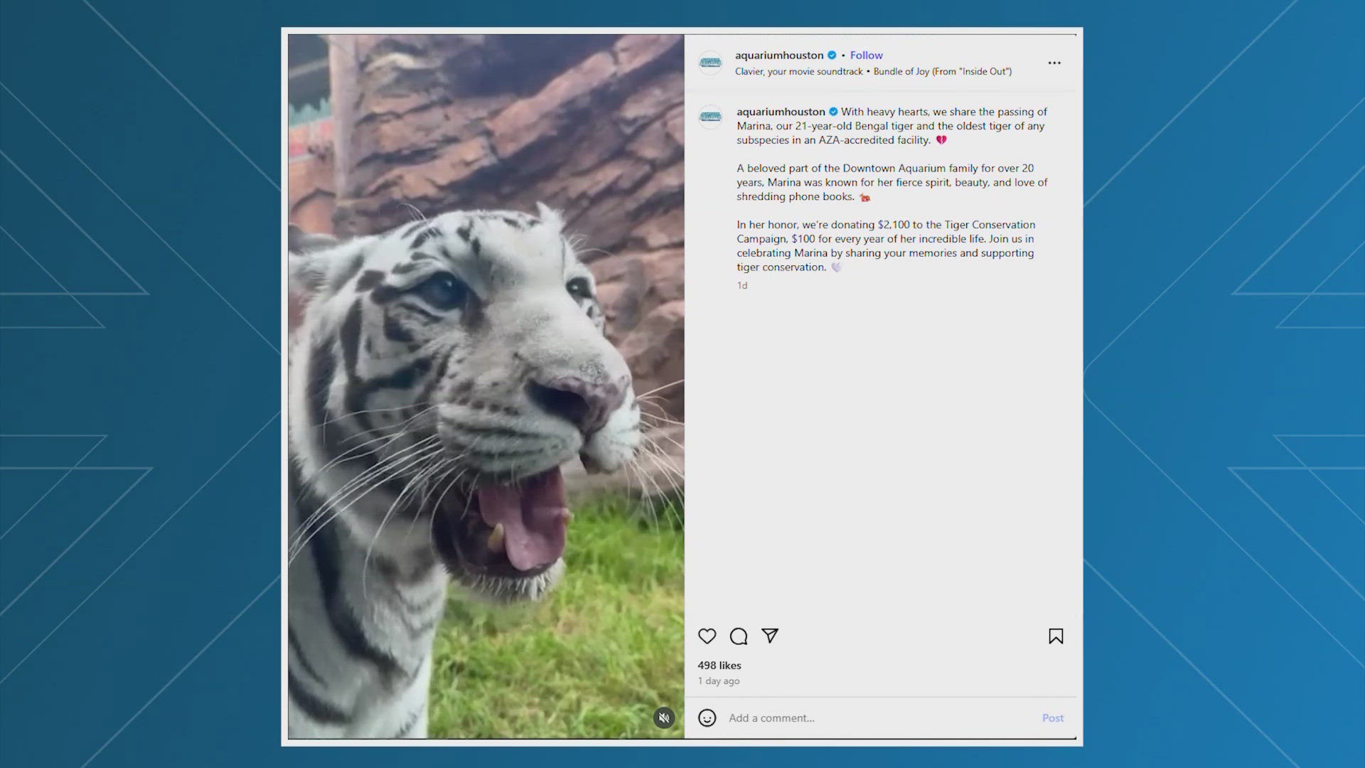 Downtown Aquarium tiger death: Last white Bengal tiger, Marina, dies at ...