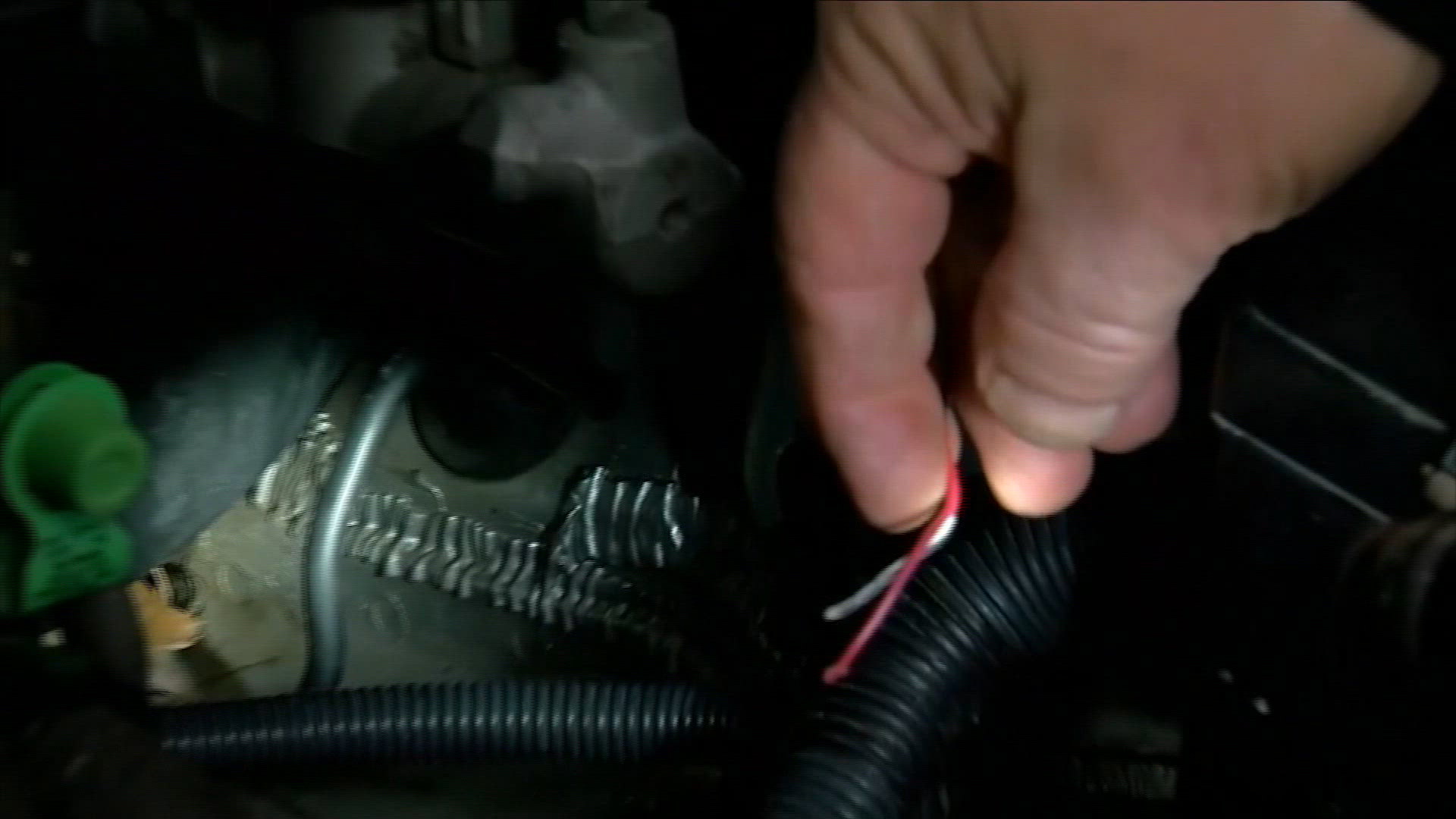 This is the damage rodents can do to your vehicle | khou.com