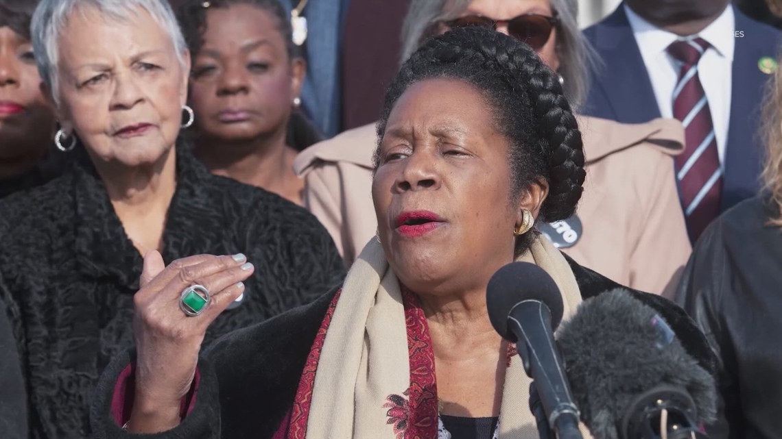 Congresswoman Sheila Jackson Lee's children announce endorsement | khou.com
