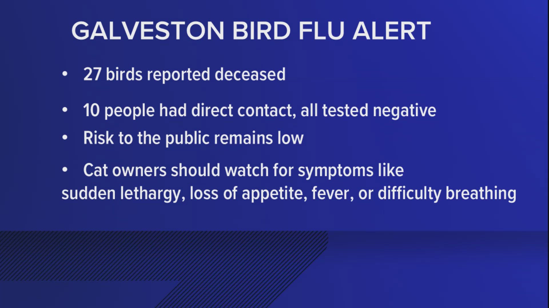 Bird flu confirmed in Galveston County, but no human cases yet | khou.com