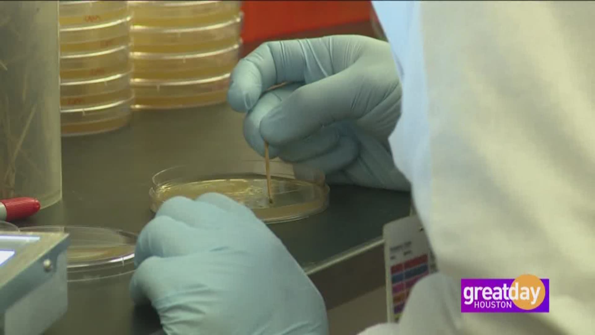 Beware of flesh-eating bacteria | khou.com