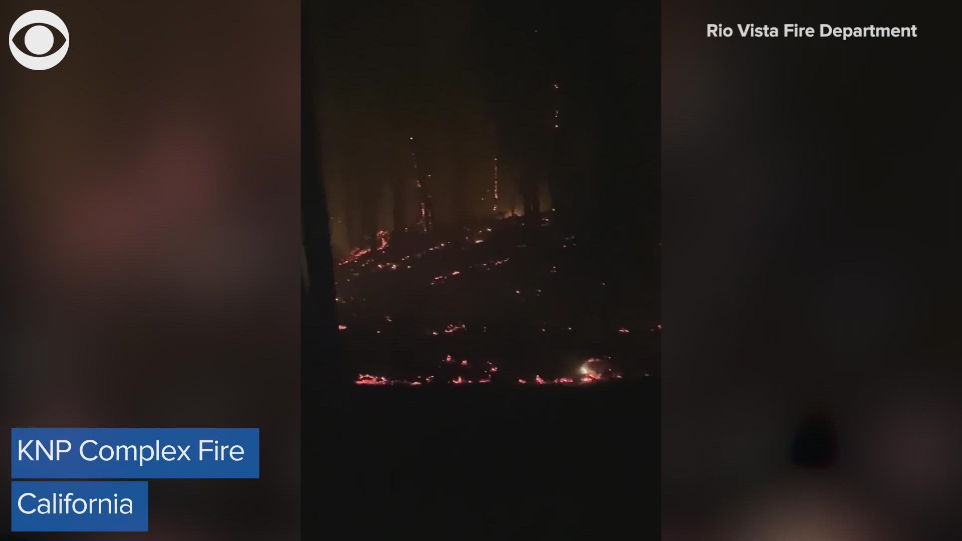 On the front lines of the KNP Complex Fire in California | khou.com