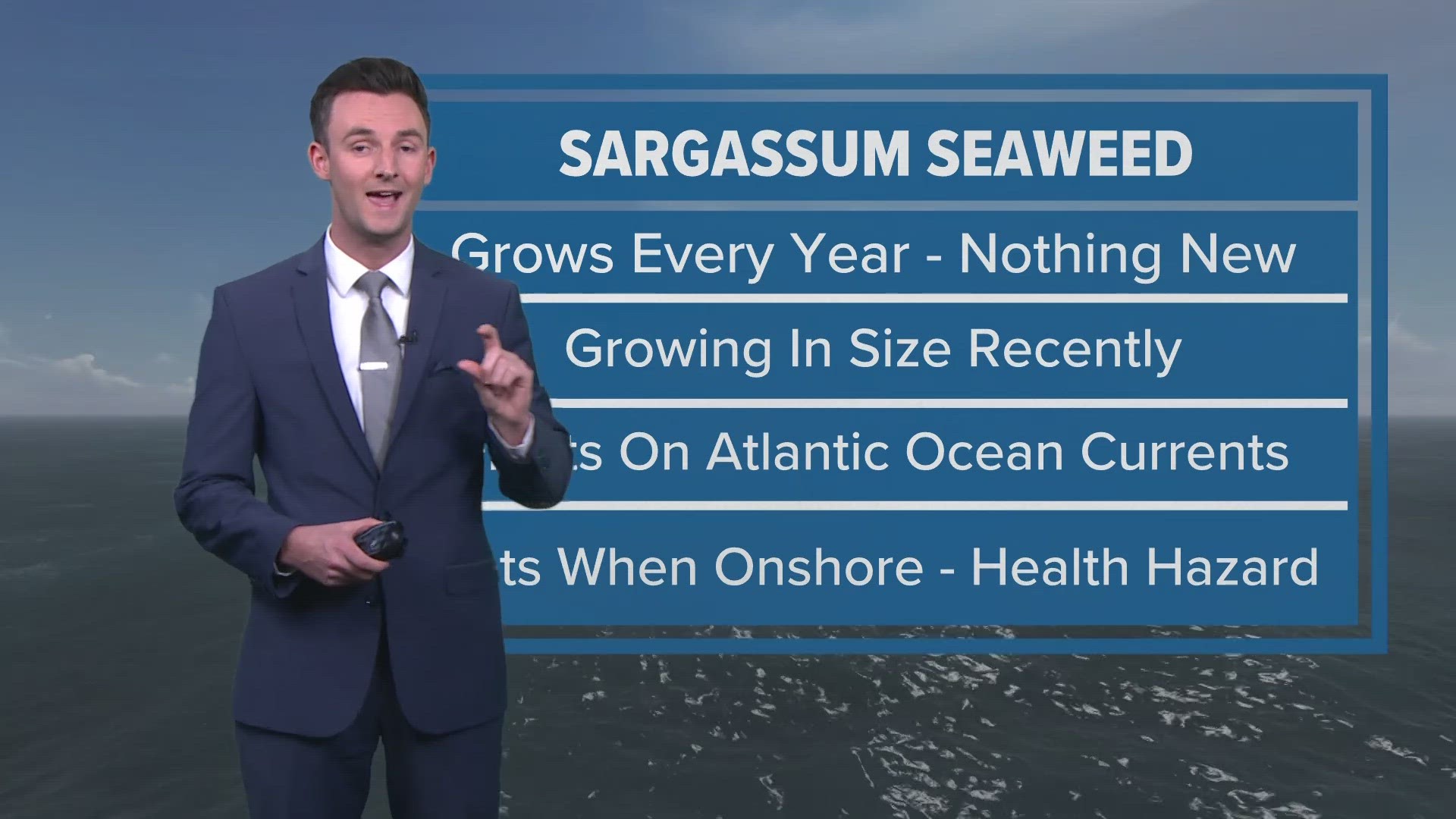 Invasive seaweed sargassum could make its way to Texas' coast | khou.com
