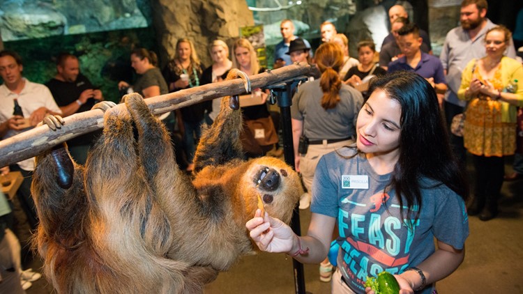 The Suffers to headline Houston Zoo's Feast with the Beasts event ...