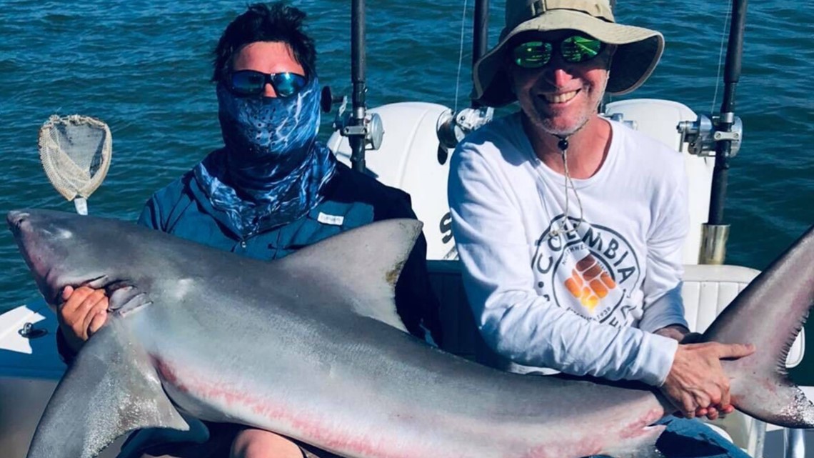 Bull shark reeled in off Galveston coast | khou.com