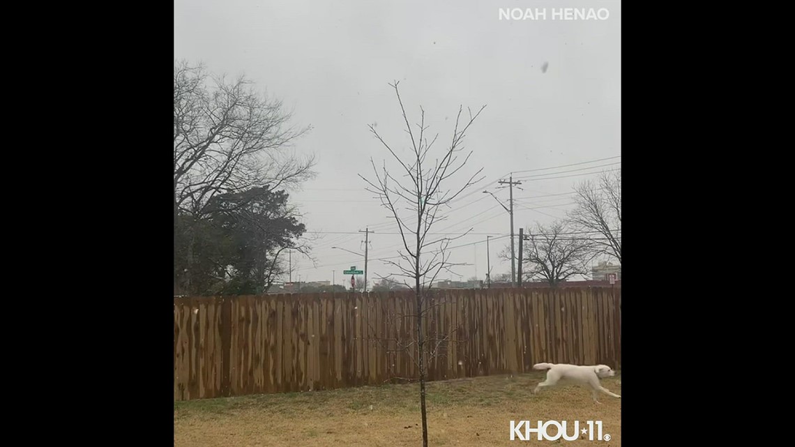 Snow in College Station, Texas, Saturday, February 12 | khou.com