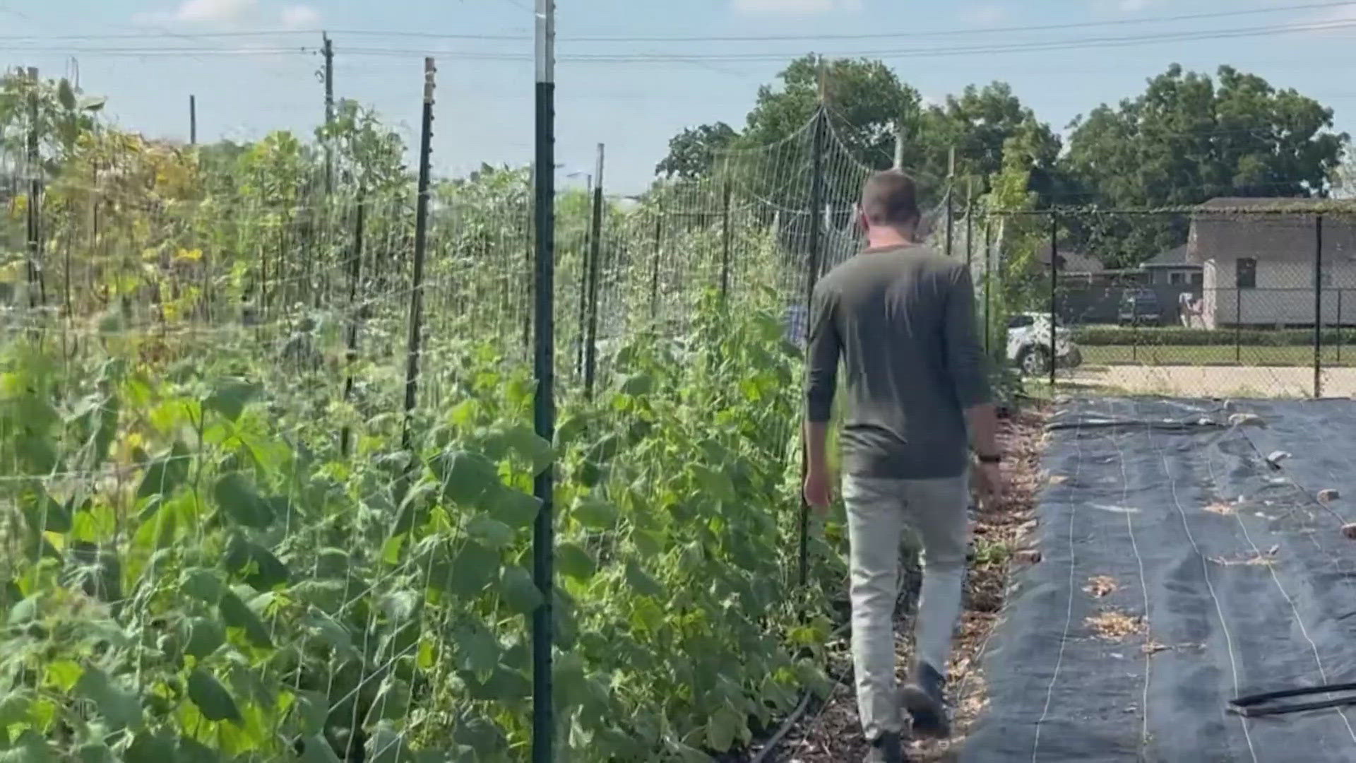 Sex assault charges dropped against former NASA engineer Eric Sim ...