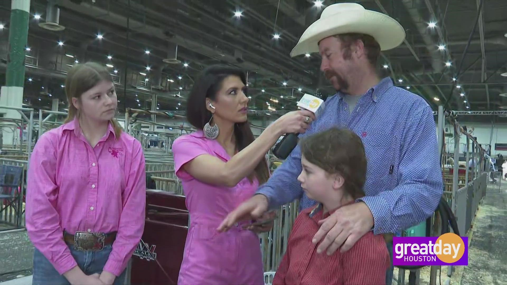 What it takes to show animals in the Houston Livestock Show and Rodeo ...