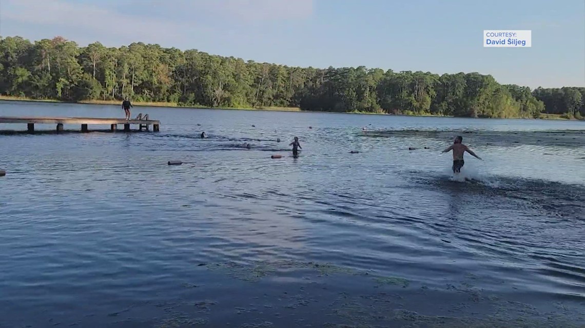 Alligator caught on camera scaring swimmers at Texas state park | khou.com