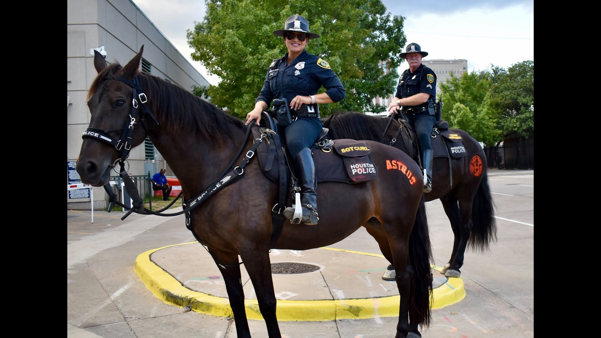 Houston Police Department Mounted Patrol horse dies at 15 | khou.com