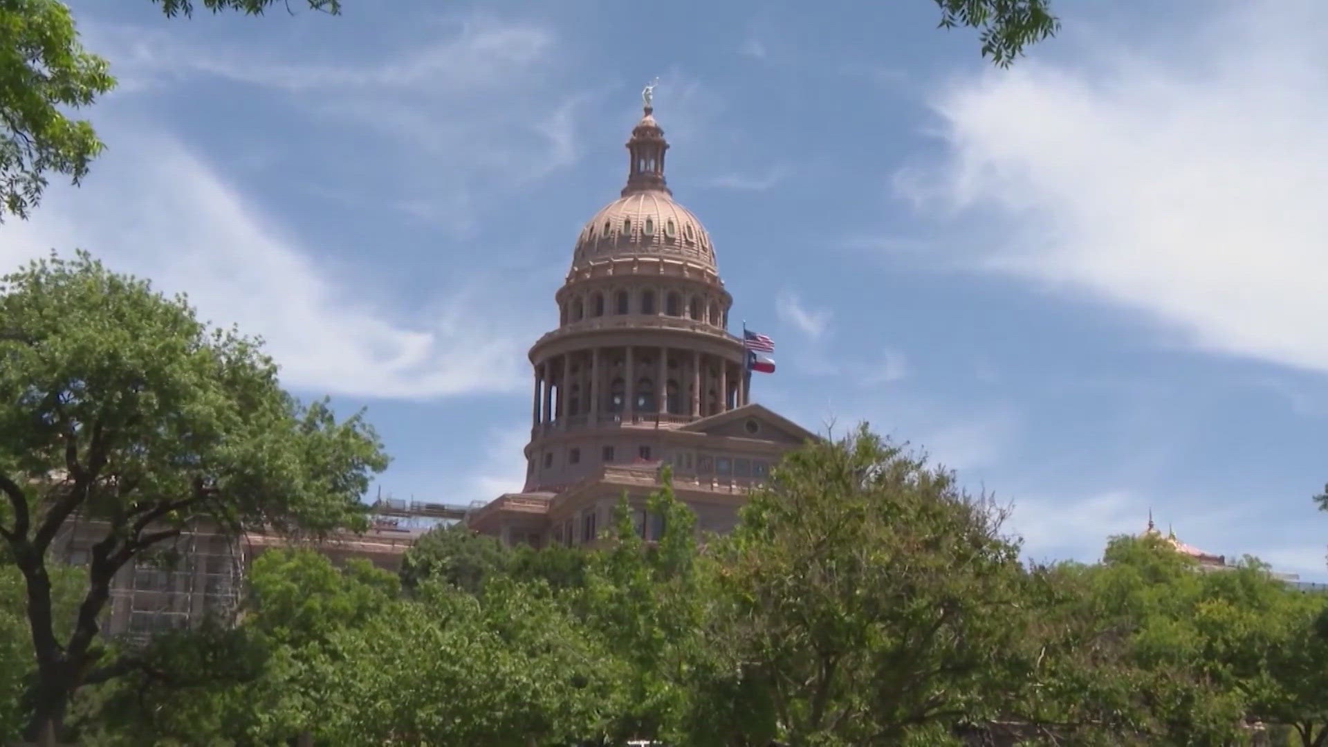 Texas freezes decades-old program supporting 11,000 minority-owned ...
