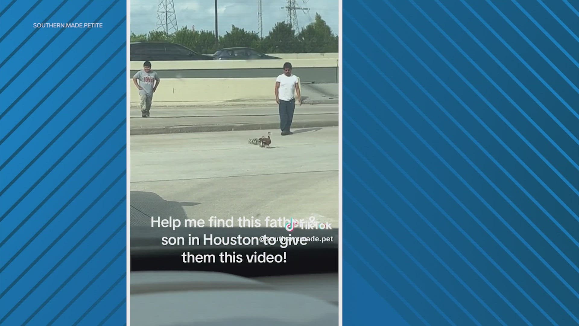 Ducks and ducklings make it across 290 feeder, with the help of good ...