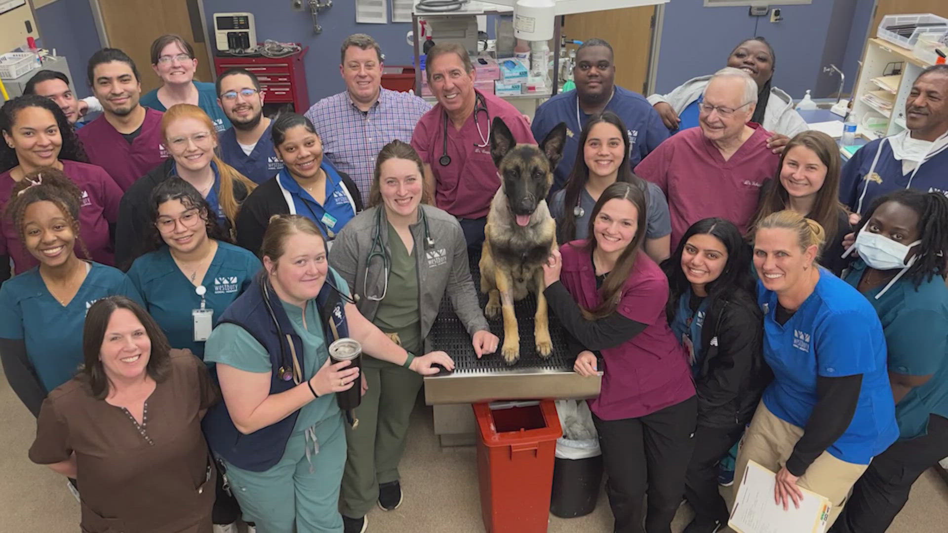 K-9 dog in manhunt is released from the hospital | khou.com