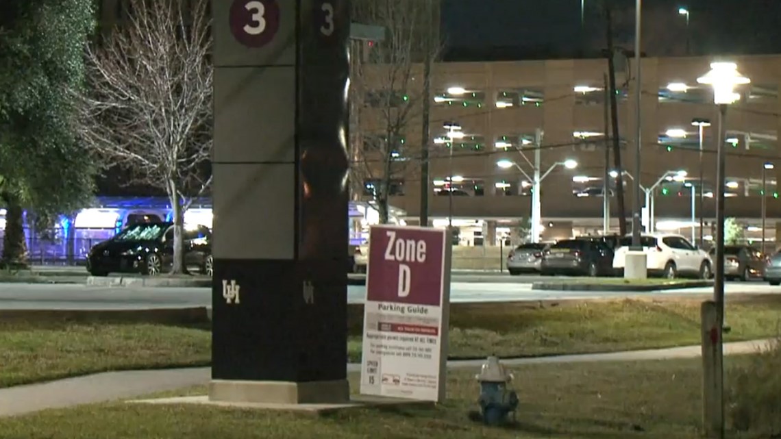 Chief: Vehicle robbery cases at UH solved; 10 suspects charged | khou.com