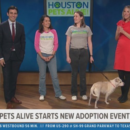 Houston's Leading Local News: Weather, Traffic, Sports and more ...