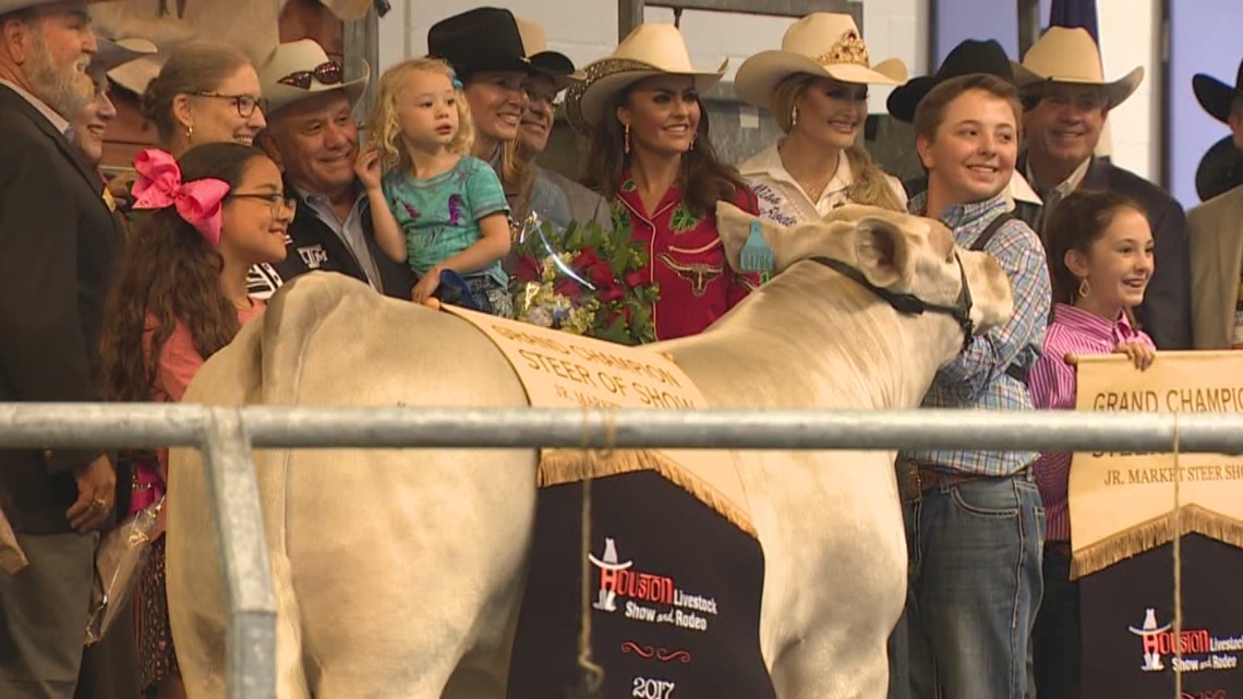 Is the Houston rodeo steer auction still happening? | khou.com