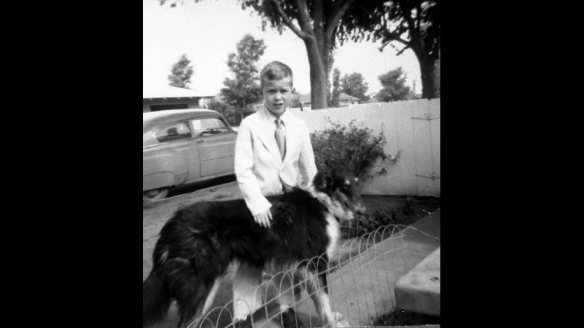 Photos: Bush pets through the years | khou.com