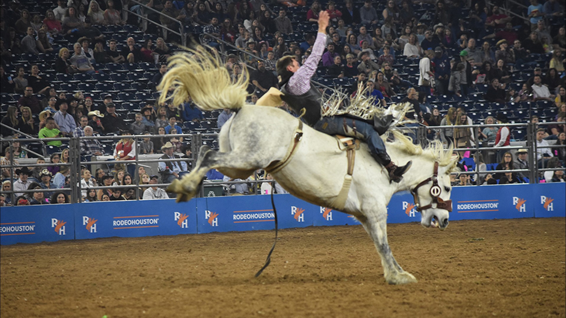 Yeehaw! It's Rodeo time, y'all! Here's a complete guide | khou.com