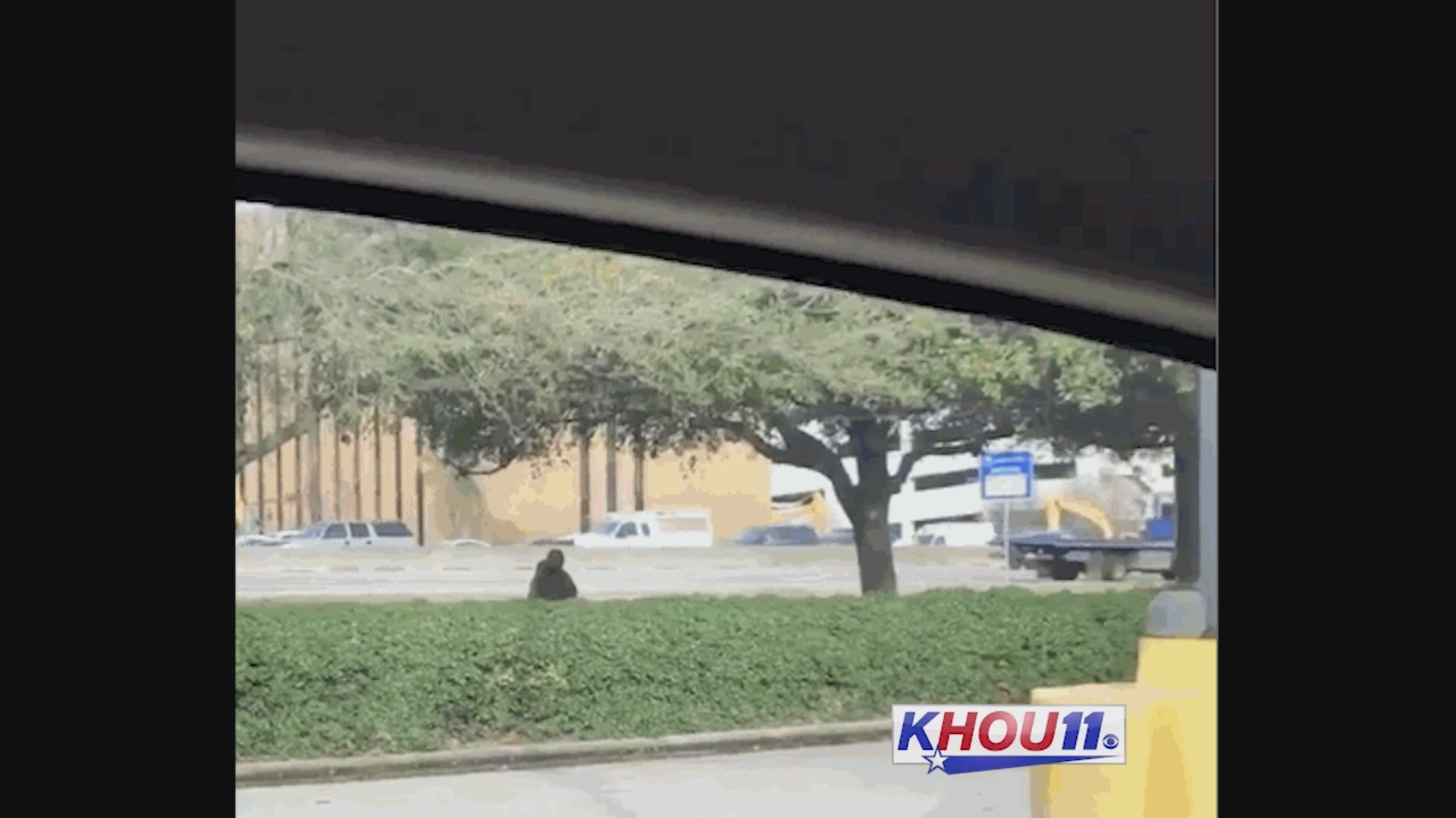 Suspected Robber Shot Dead After Trying To Carjack Drivers Along West