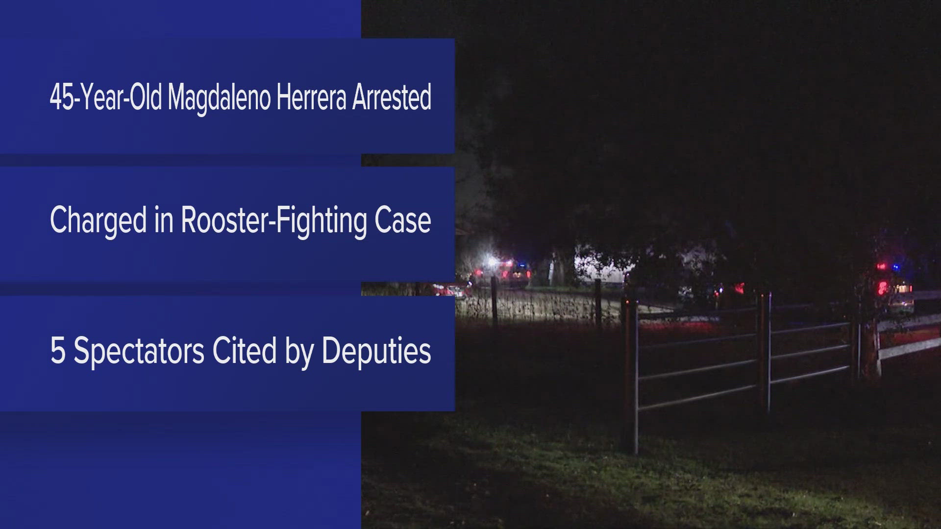 Man arrested after deputies uncover suspected rooster fighting ring ...
