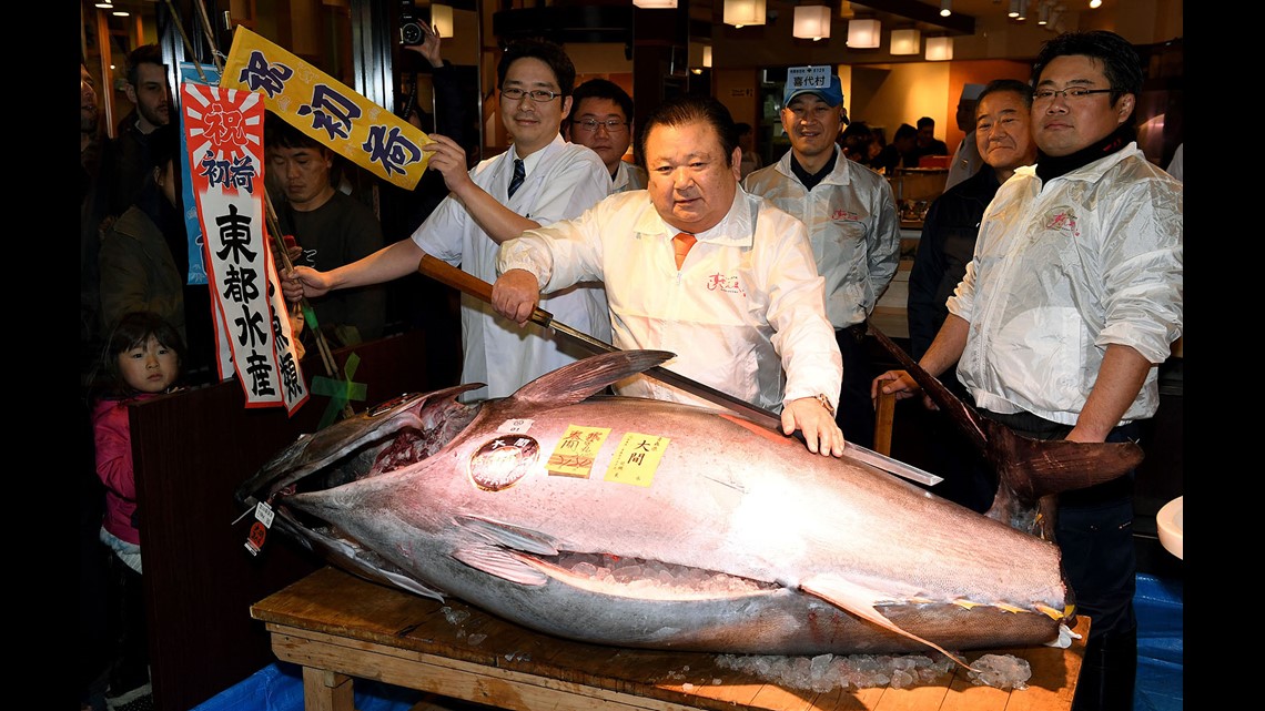 Photos: Massive bluefin tuna sells for $632,000 USD | khou.com