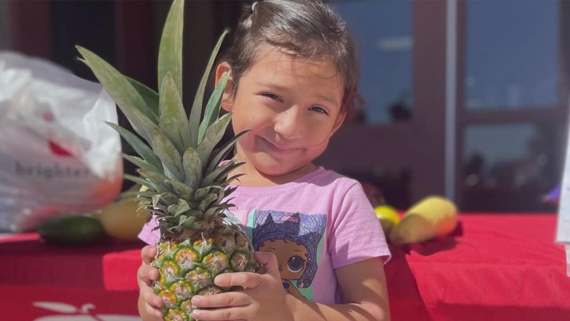 Snack better with Brighter Bites and Bright Side Snacks | khou.com