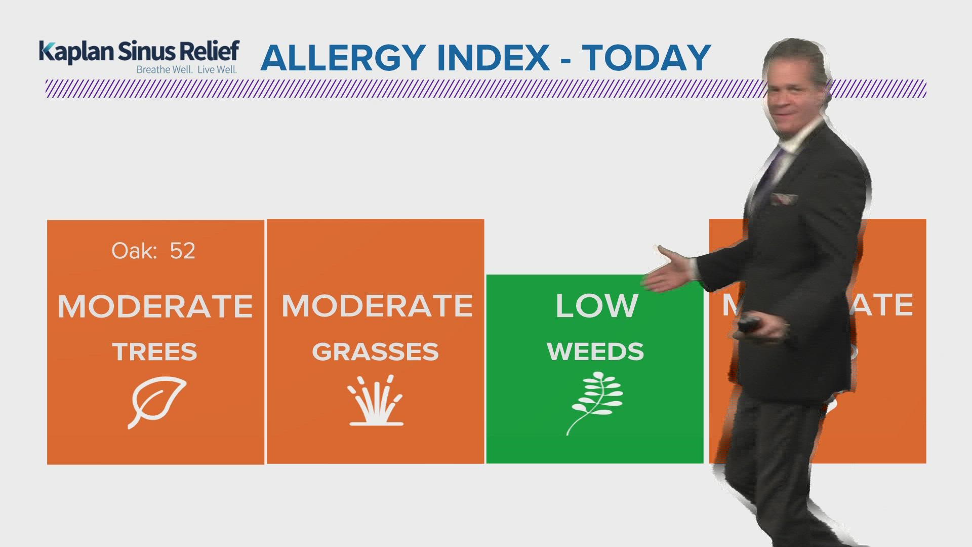 Michelle Choi | khou.com