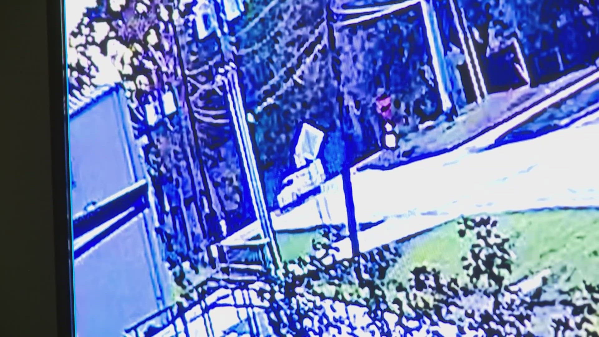 Woman unloading groceries with grandson hit by driver, loses leg, and ...