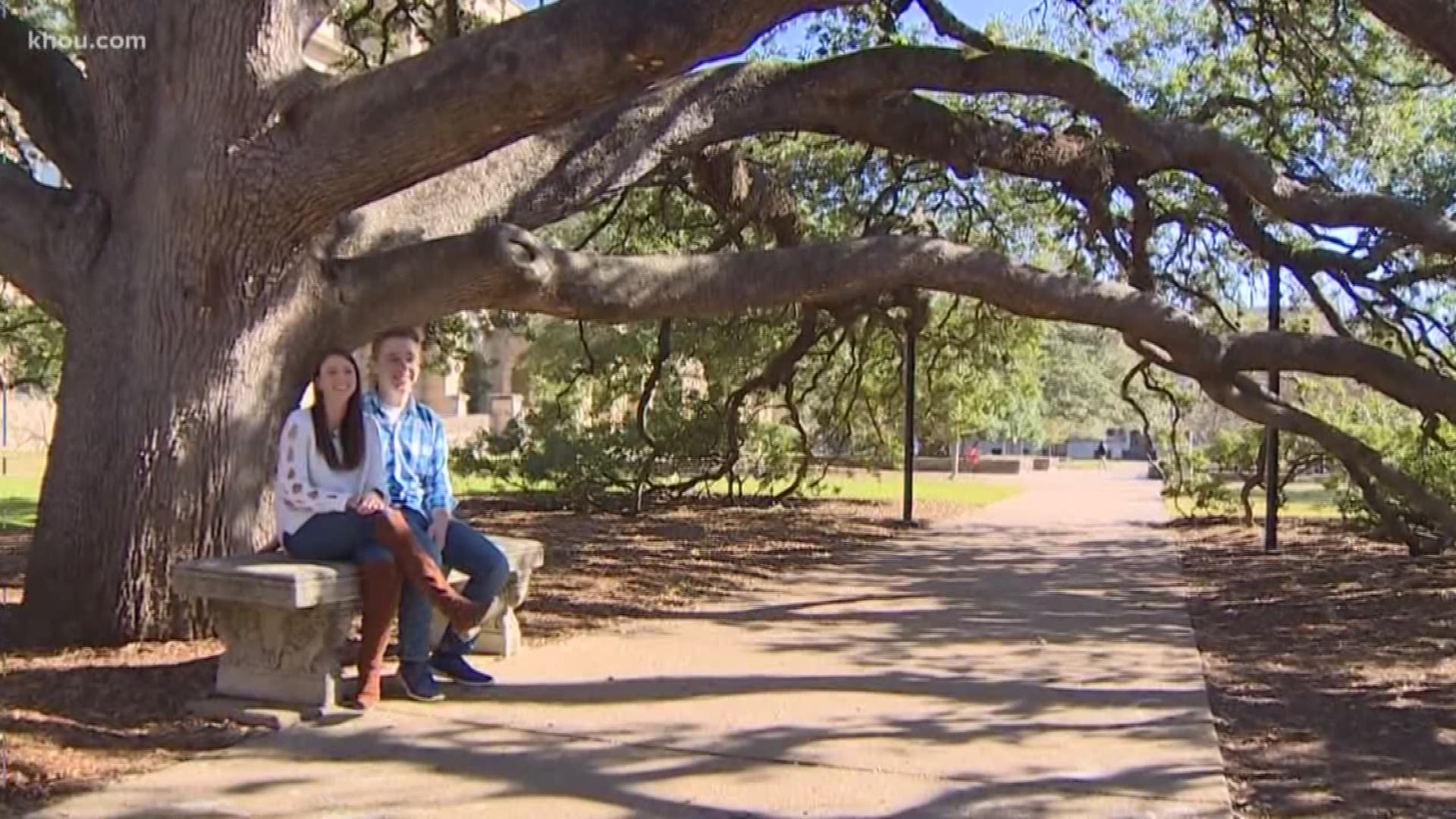 The Century Tree: An Aggie tradition rooted in love | khou.com