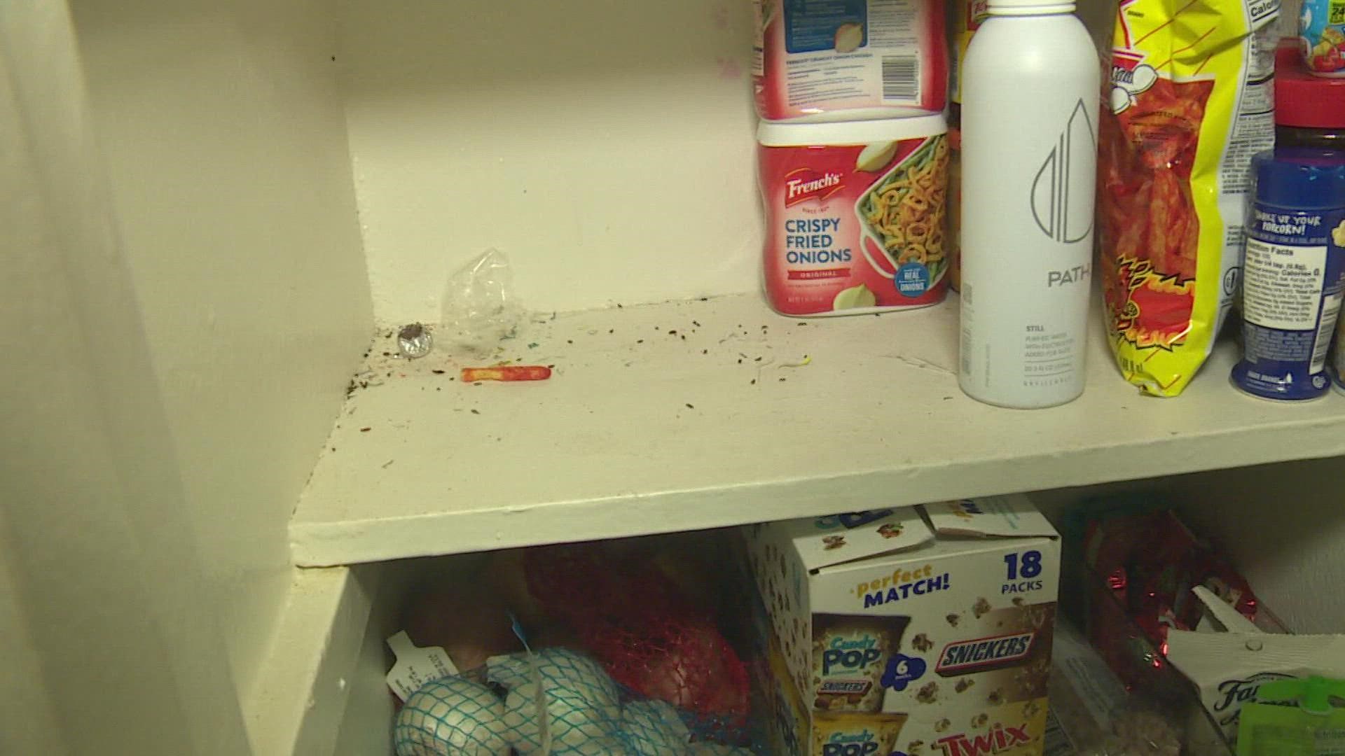 Residents worried about rat infestation at Pasadena apartments | khou.com