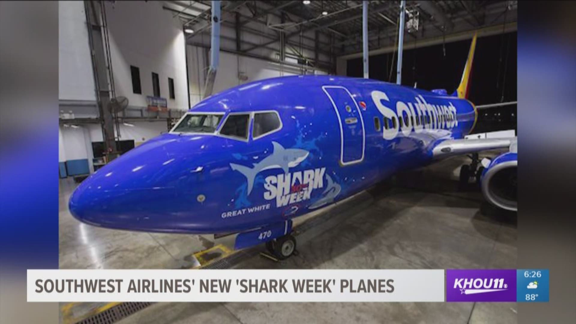 Southwest Airlines rolls out 'Shark Week' designs on planes | khou.com