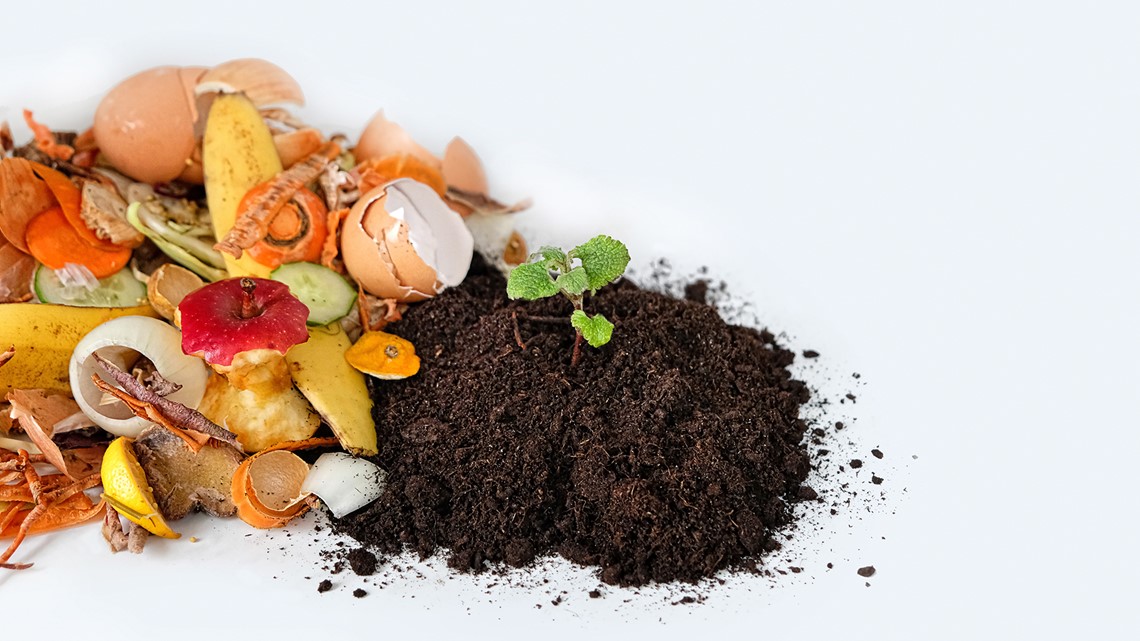 Drop your food waste off for free in Houston, Texas | khou.com