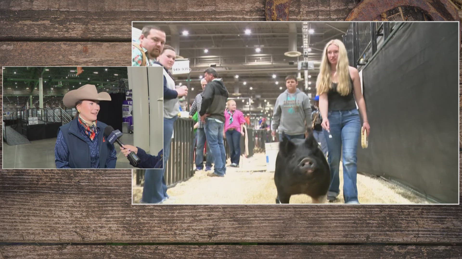 A behind-the-scenes look at AgVenture at NRG Center for HLS&R | khou.com