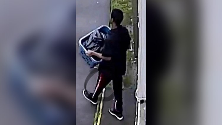 Maleah Davis update: Stepfather charged, but still no sign of missing ...