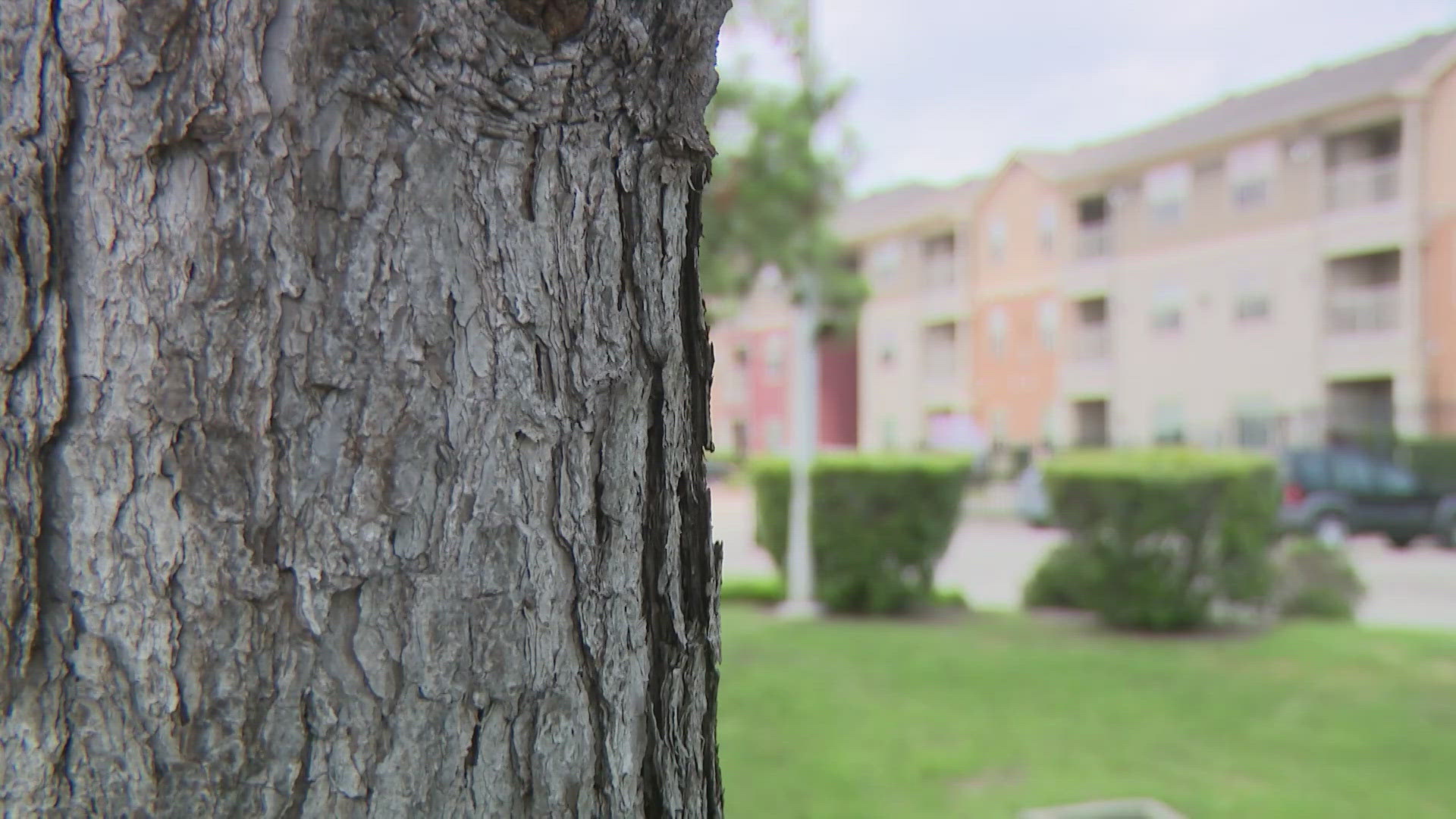 Harris County implements on-site generator requirement for nursing ...