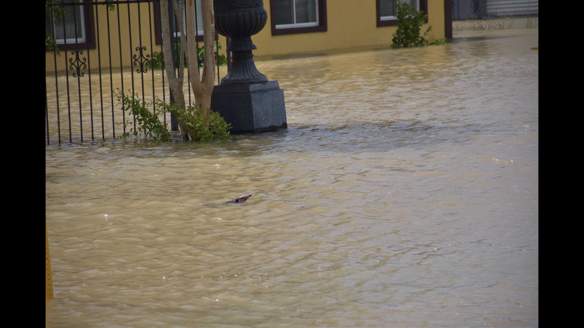 Photos: Addicks Reservoir overflow floods west Houston neighborhoods ...